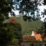 Brasov: Guided Walking Tour with Professional Photos - Who Would Benefit Most from This Tour?
