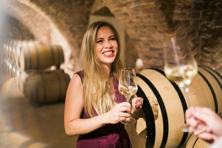 Bratislava: Devin Castle and Wine Tasting Private Tour - The Itinerary in Detail