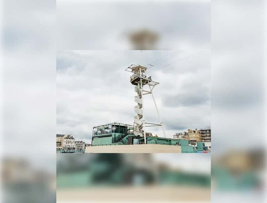 Brighton: Zip Wire Experience Ticket and Transfer - Analyzing the Cost and Value