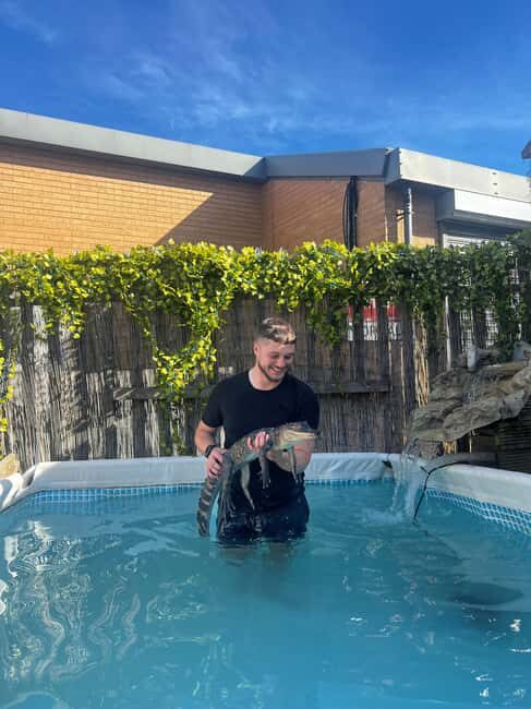 Bristol: Crocodile Swimming Experience coffee and cake - Why This Experience is Worth Considering
