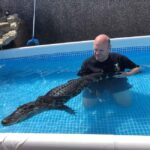 Bristol: Swimming with Crocodiles coffee and cake - What to Expect on the Day