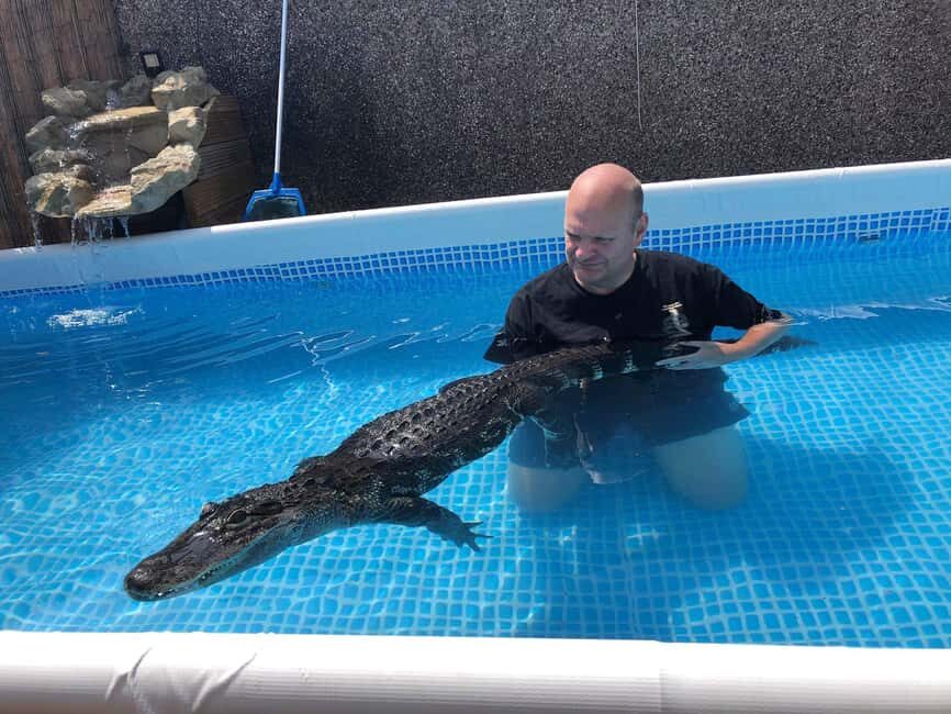 Bristol: Swimming with Crocodiles coffee and cake - What to Expect on the Day