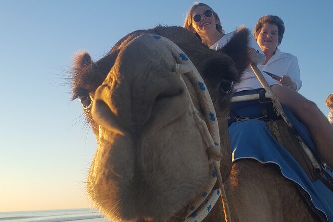 Broome Pre-sunset Camel Tour 30 minutes - Analyzing the Experience
