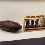 Brussels: Chocolate Appreciation and Tasting Walking Tour - The Itinerary: What to Expect