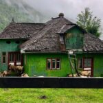 Bucharest: Brown Bears Sanctuary and Quad Tour - The Quad or Buggy Ride: Thrilling Off-Road Action