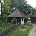 Bucharest city tour: Village Museum visit & Panormaic tour - Why Choose This Tour?
