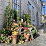 Budapest: private sightseeing tour by public transportation - Top Sights in a Compact Schedule