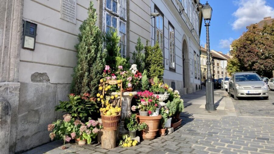 Budapest: private sightseeing tour by public transportation - Top Sights in a Compact Schedule