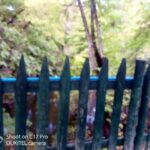 Butterfly valley,Farfalle,Schmetterling,Papillon & transfer! - Transportation and Fees: What Makes It Smooth