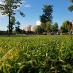 Bydgoszcz: Old Town Guided Walking Tour - FAQ