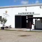 Cagliari Olive Oil Museum: Tours & Tasting a Dolianova - Who Will Enjoy This Tour Most?