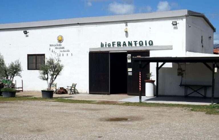 Cagliari Olive Oil Museum: Tours & Tasting a Dolianova - Who Will Enjoy This Tour Most?