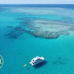 Cairns: Small Group | Outer Reef Snorkel & Dunk Island - Value and Cost Analysis