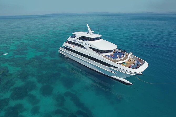 Cairns Super Saver: Reef Cruise, Daintree & Kuranda Rail/Skyrail - The Details That Make This Tour Stand Out
