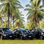 Cairns to Daintree Eco Lodge ONE WAY Private Transfer 6 pax - Who Should Book This?