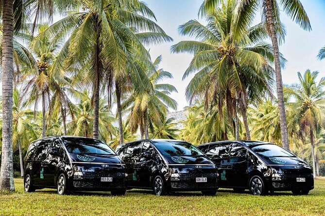 Cairns to Daintree Eco Lodge ONE WAY Private Transfer 6 pax - Who Should Book This?