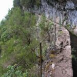 Caldeirão Verde: Queimadas PR9 Transfer Hike - Who Is This Tour Best For?