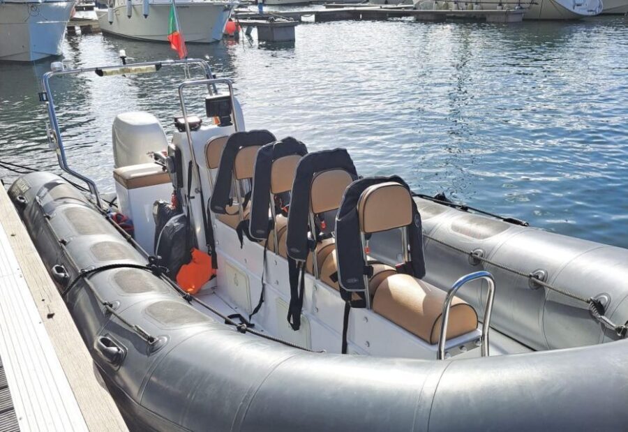Calheta: Whale & dolphin watching small groups designer tour - Is It Worth the Price?