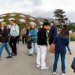 California Academy of Sciences NightLife Plus Admission - Practical Details That Matter