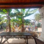 Camel Experience - The Vegetarian and Family Experience