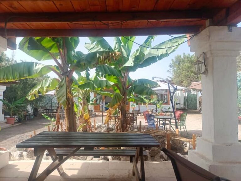 Camel Experience - The Vegetarian and Family Experience