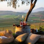 Camporeale: Sallier de La Tour Wine Discovery Tour - FAQs
