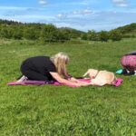 Canterbury: Yoga with Goats and Sheep - What to Expect During the Tour