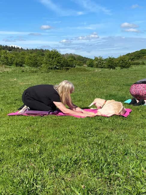 Canterbury: Yoga with Goats and Sheep - What to Expect During the Tour