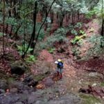 Canyoning in Anaga - The Practical Details and Considerations