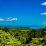 Cape Tribulation Day Tour - Journey Through the Daintree: A Deep Dive into the Itinerary