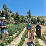 Cappadocia: Beekeeping Experience with Honey Tasting - The Itinerary in Detail