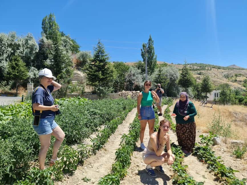Cappadocia: Beekeeping Experience with Honey Tasting - The Itinerary in Detail