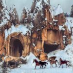 Cappadocia: Fascinating Horse Riding Tour in Unique Valleys - Why This Tour Offers Real Value