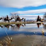 Cappadocia: Valleys Highlights Camel Tour with Hotel Pickup - What to Expect from Your Cappadocia Camel Tour