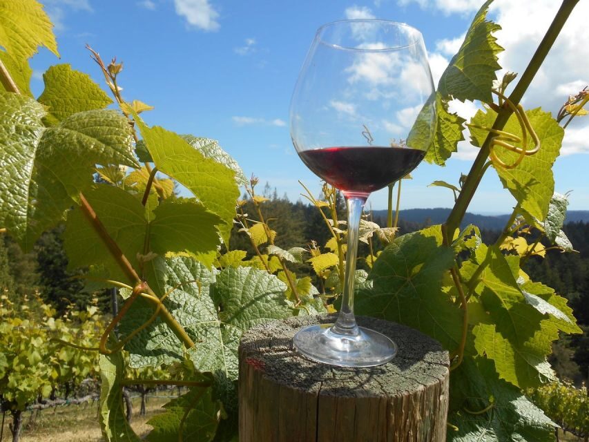 Carmel Valley Wine Tasting Tour - Practical Tips for Enjoying Your Tour
