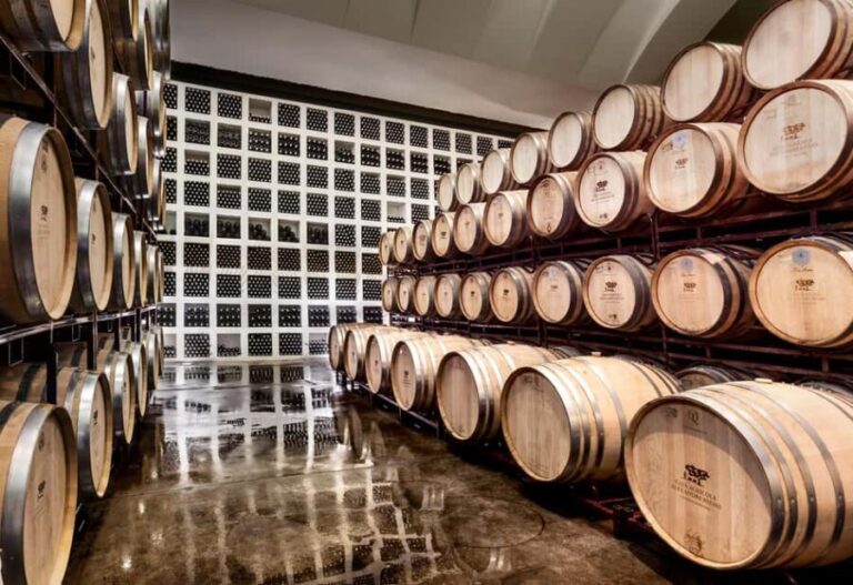 Casa Relvas, Évora - Visit to the Winery with Tasting of 3 wines and snacks - Visiting the Aging Cellar