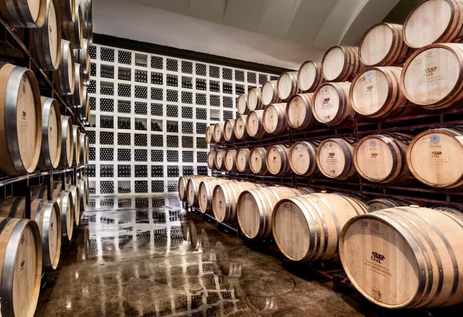 Casa Relvas, Évora - Visit to the Winery with Tasting of 3 wines and snacks - Visiting the Aging Cellar