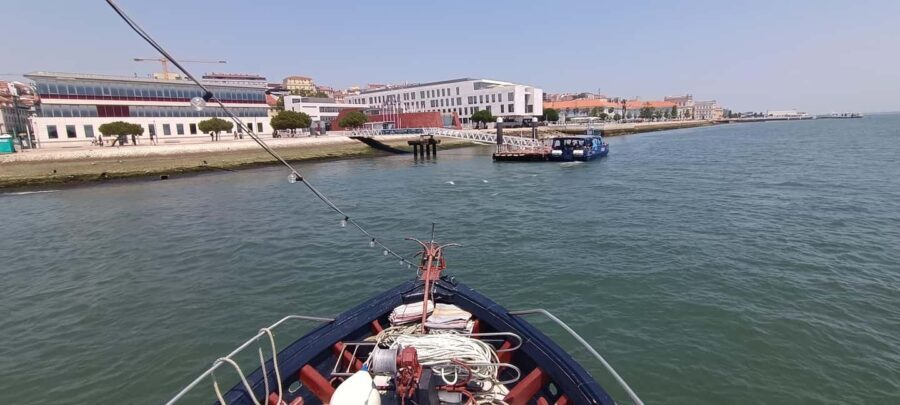Cascais: Sunset Cruise to Lisbon with Open Bar - Who Would Love This?