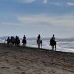 Castagneto Carducci: Horseback Riding Experience in Tuscany - Who Will Enjoy This?
