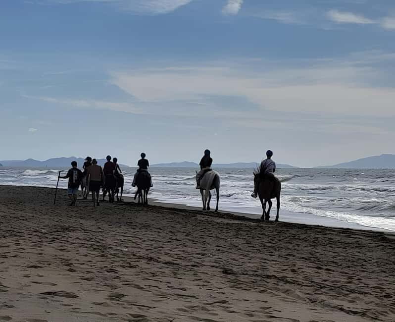 Castagneto Carducci: Horseback Riding Experience in Tuscany - Who Will Enjoy This?