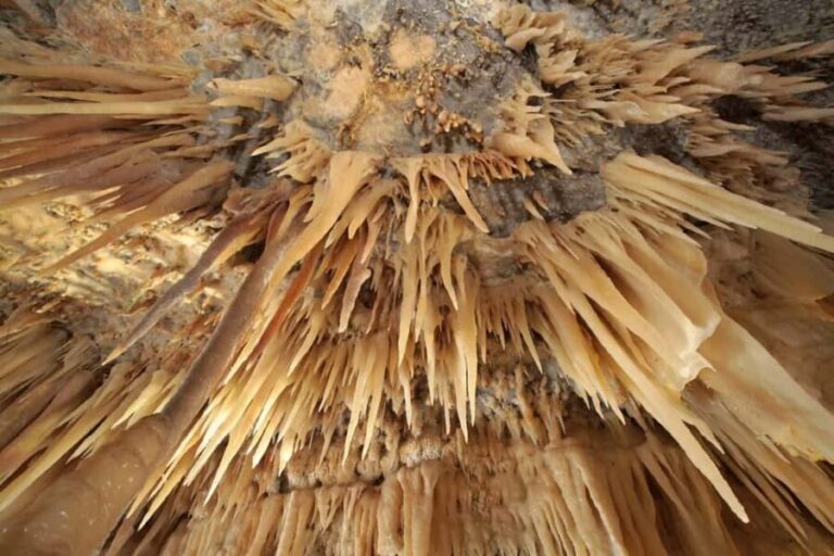 Castellana Grottoes: Official Guided Tour with Entry Ticket - The Sum Up