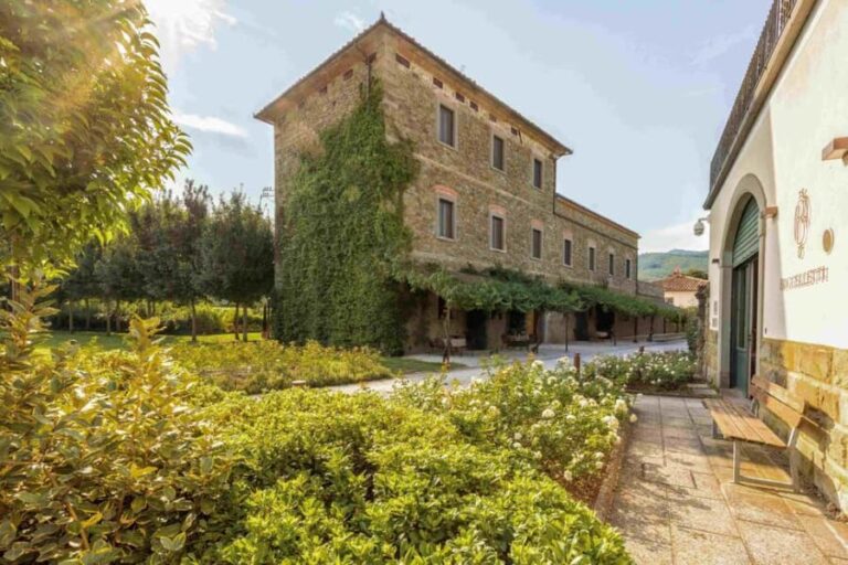 Castiglion Fiorentino: Vegetable Harvest And Wine Experience - Why This Tour Offers a Solid Value
