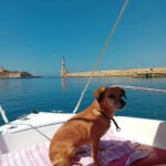 Chania: Self-Drive Boat and another with Skiper 7.50 m - A Closer Look at the Experience