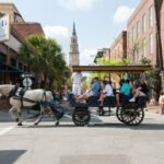 Charleston: Downtown Horse-Drawn Carriage Tour - Pricing and Value