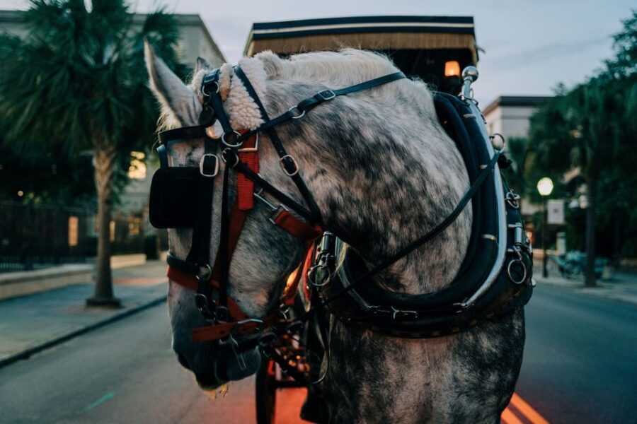 Charleston: Haunted Carriage Evening Tour - Who Would Enjoy This Tour?