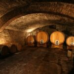 Chianti: Wine and Olive Oil Tasting with Cellar Tour - Why This Tour Offers Great Value