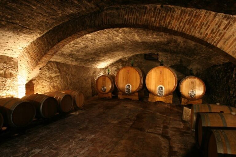 Chianti: Wine and Olive Oil Tasting with Cellar Tour - Why This Tour Offers Great Value