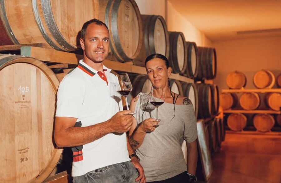 Chianti Winery Tour with Wine & Food Tasting near Florence - The Food and Wine Pairings