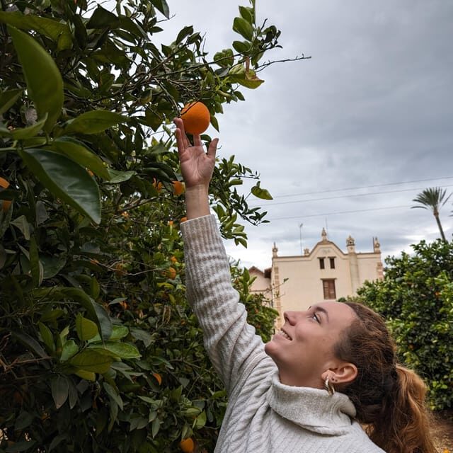 Citrus Treasures: Exploring Valencia's Orange Grove - Practical Details & Value