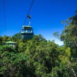 Classic Kuranda by Skyrail and Scenic Railway, Rainforestation & lunch. CKB - Who Is This Tour Best Suited For?
